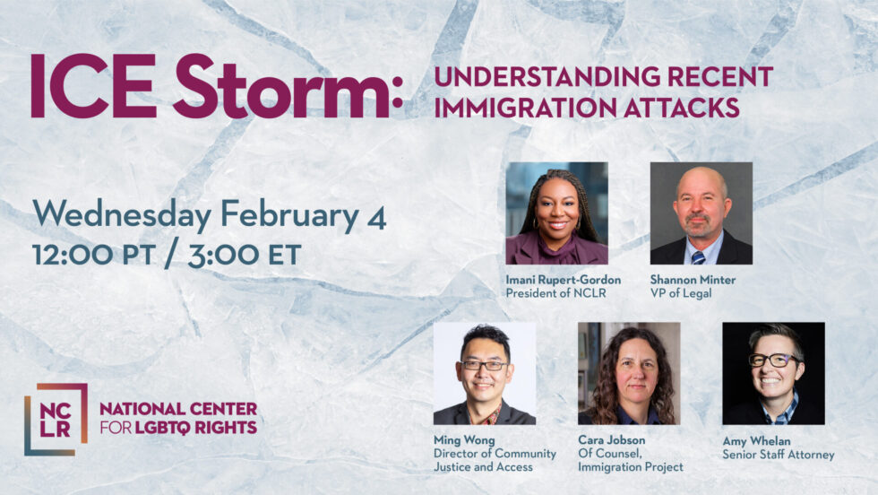 ICE Storm: Understanding Recent Immigration Attacks - National Center ...
